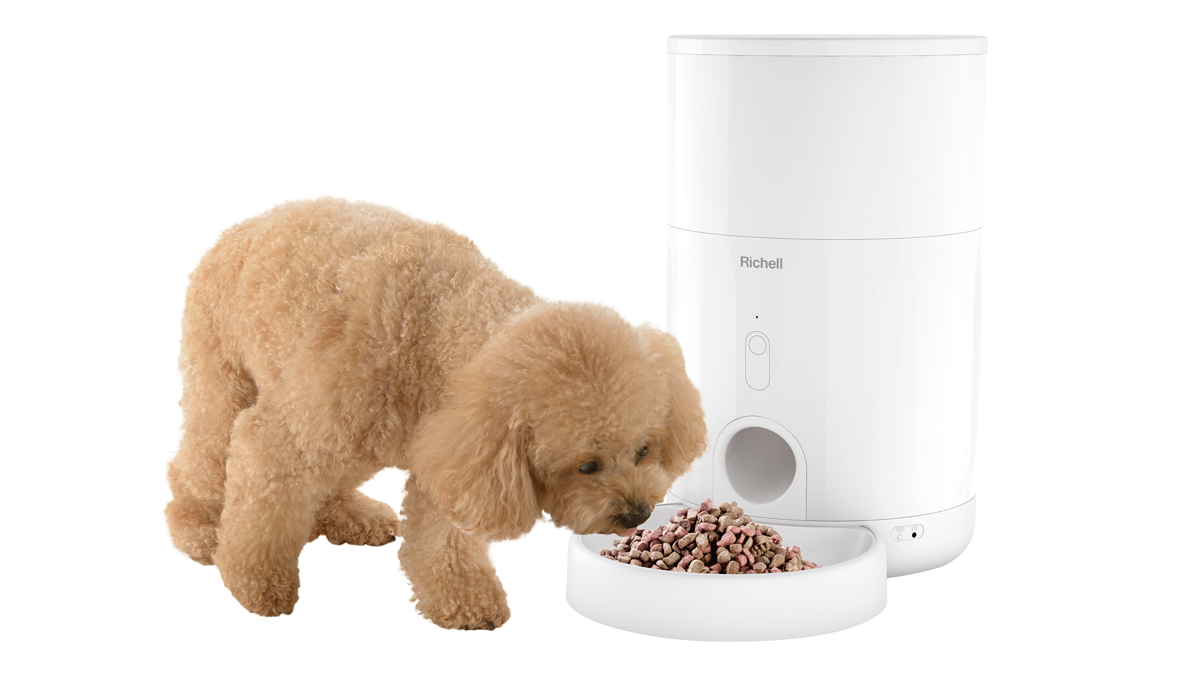 "Petnia Nutri Mini Feeder" - Richell [Official]