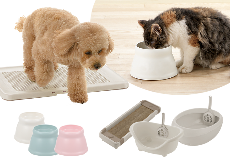 "Ecole" - Richell [Official]