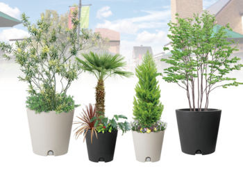 "Town Planter WS Conical" - Richell [Official]