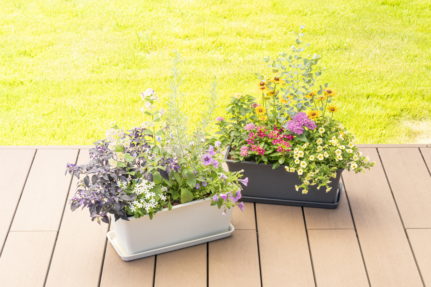 "Stitch" - Richel [Official]