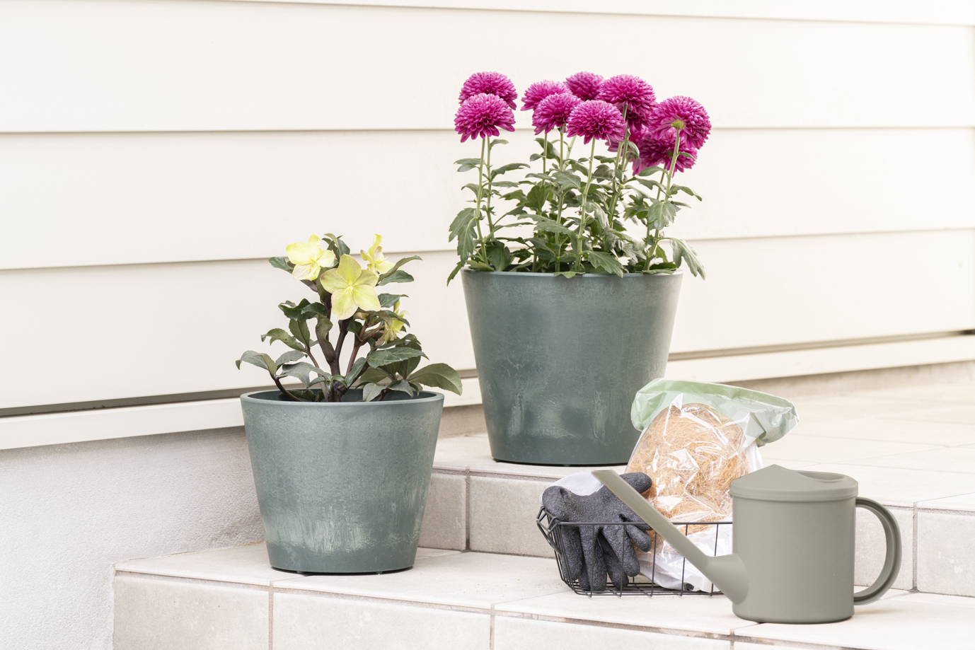 "Botany Hide Pot" - Richell [Official]