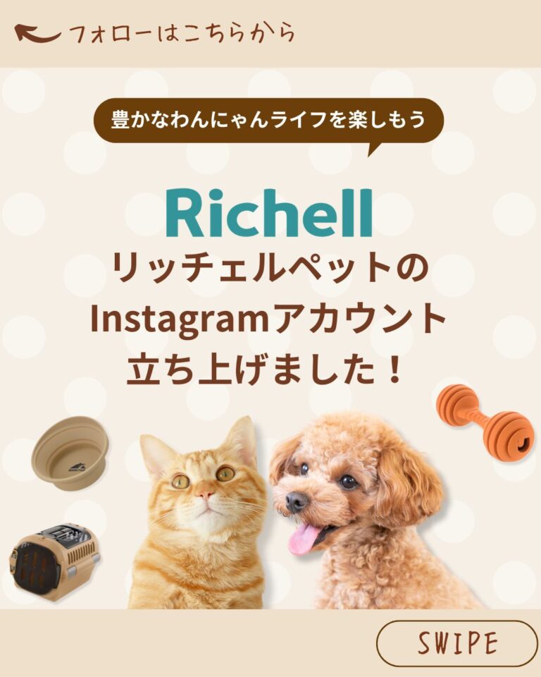 Information on opening of Richel Pet official Instagram - Richel [Official]