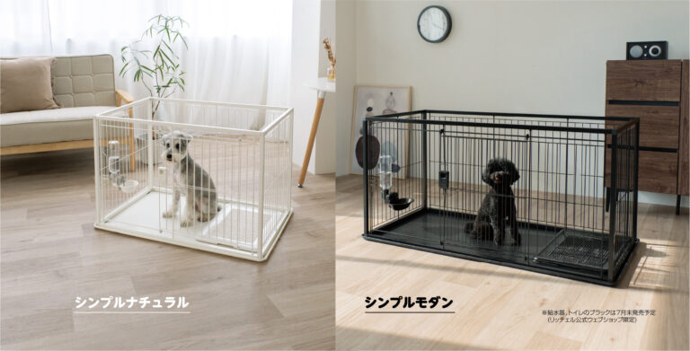 ព័ត៌មានស្តីពីការចេញផ្សាយ "រង្វង់សត្វចិញ្ចឹមខាងក្នុង" - Richell [ផ្លូវការ]