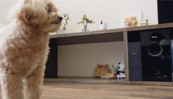 ペットの見守り・給水・給餌をスマホで便利に！- リッチェルLIFE+【公式】