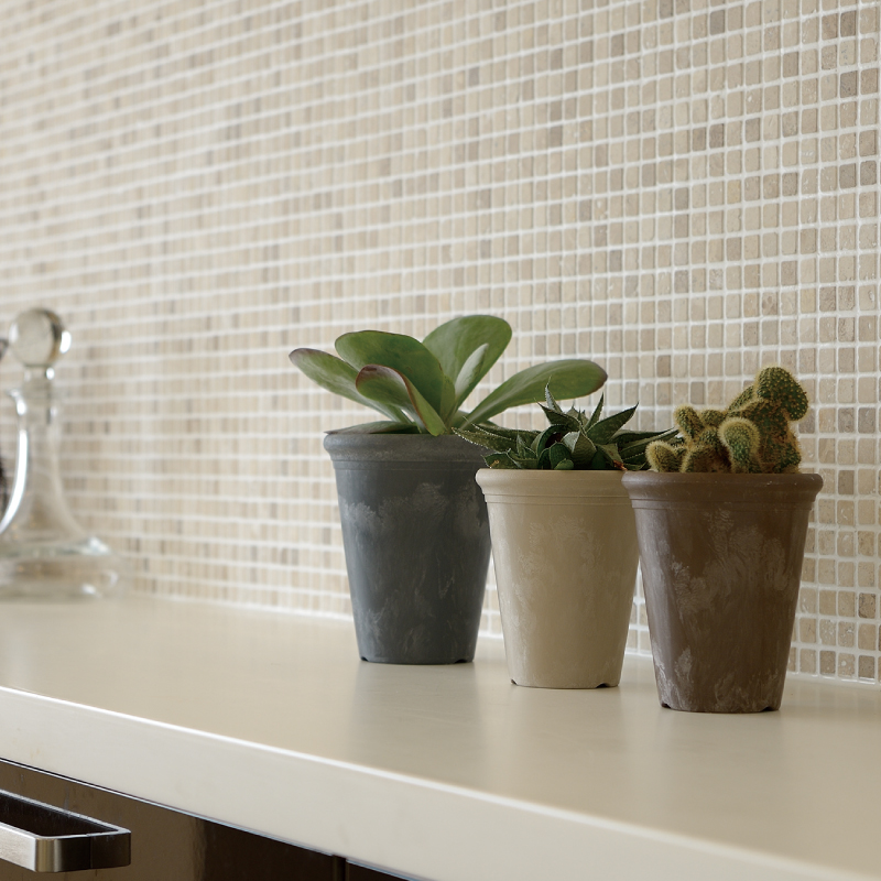 Malebela a ho khetha lipitsa le liplantere - Richell LIFE+ [Semolao]