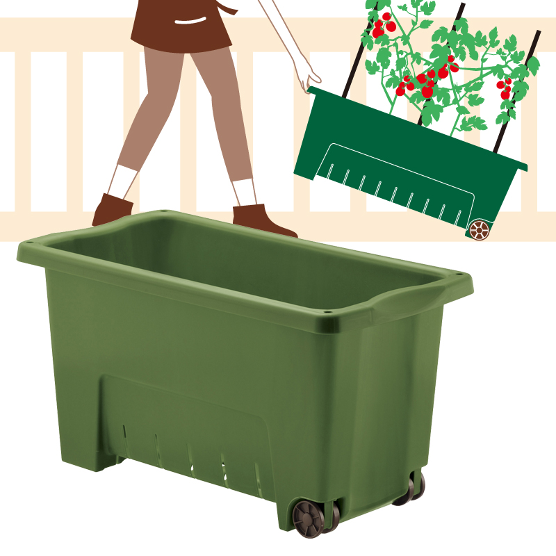 Malebela a ho khetha lipitsa le liplantere - Richell LIFE+ [Semolao]