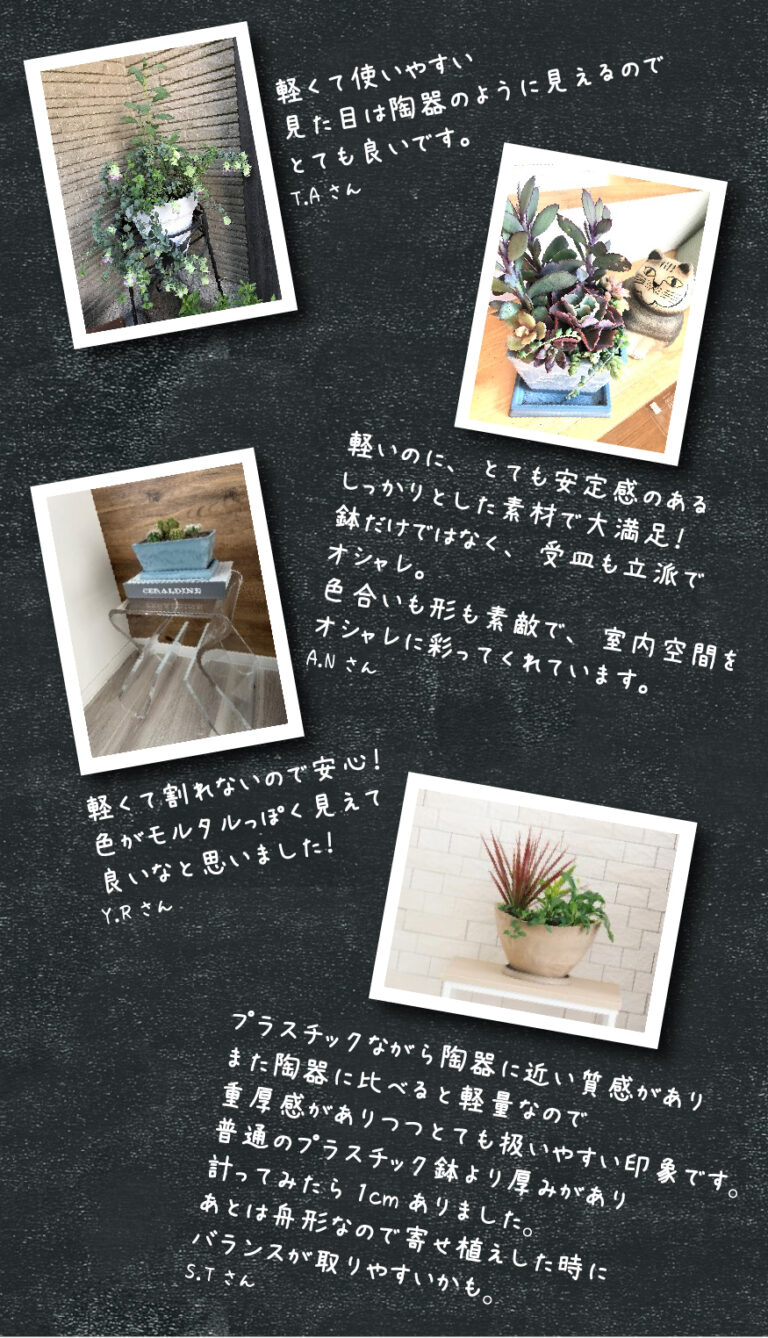 Botany Series - Richell LIFE+ [ផ្លូវការ]