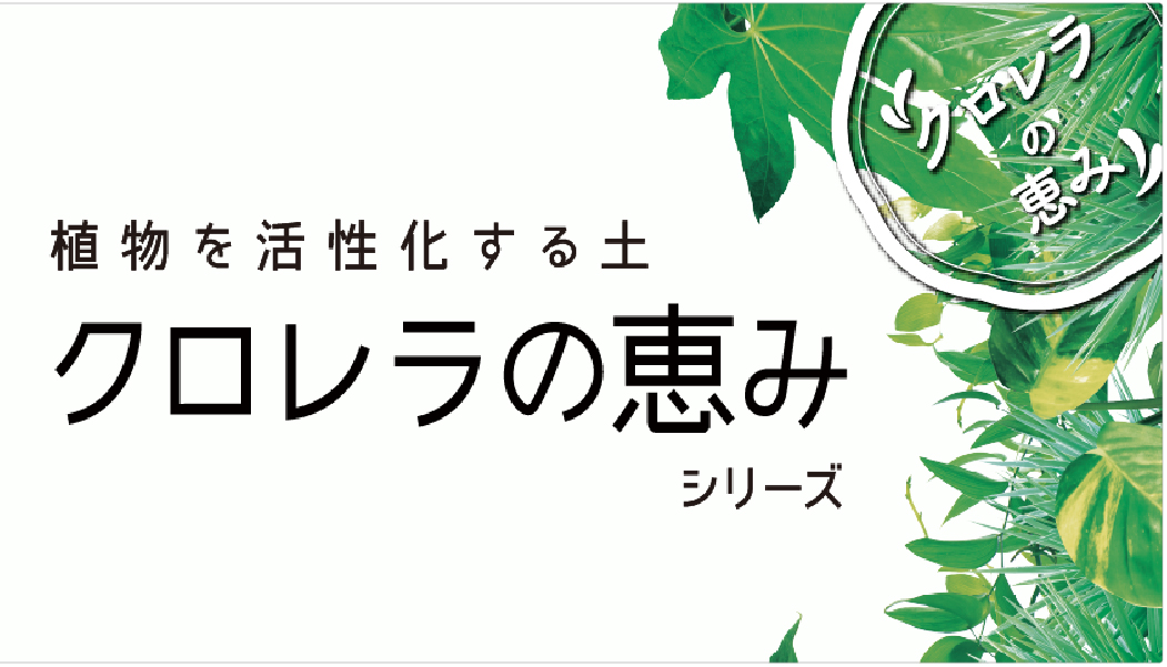 Soil that activates plants "Blessings of Chlorella" - Richell LIFE+ ...