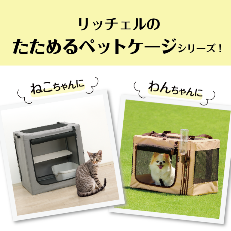 Richel's foldable series - Richel LIFE+ [Official]