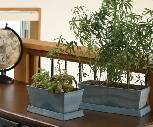 Malebela a 4 a ho Etsa Limela tsa Potted tse Setaele | Mokhoa oa ho li ...